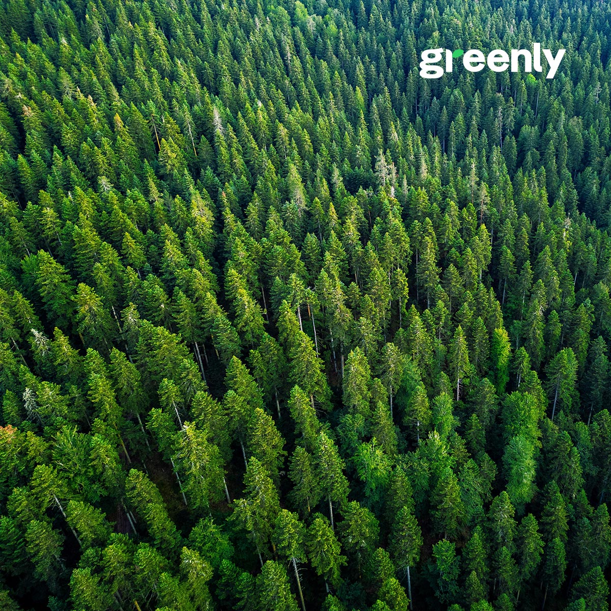 About us – Loop AU